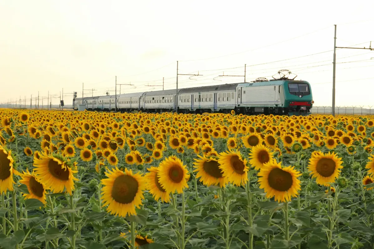 How Italy's Train Network Works: The Complete Guide
